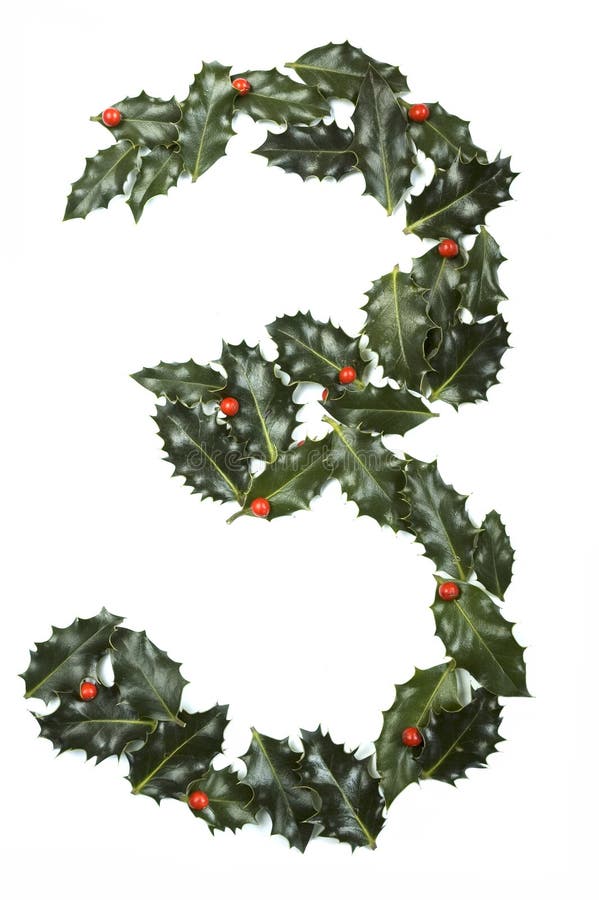 Holly with Berry Letter D stock image. Image of white - 3742313