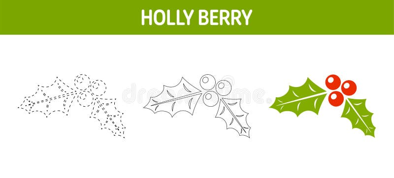Holly Berry Tracing and Coloring Worksheet for Kids Stock Vector ...