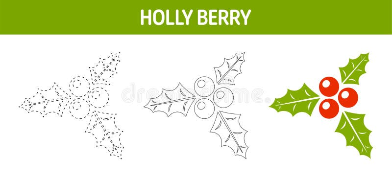 Holly Berry Tracing and Coloring Worksheet for Kids Stock Vector ...