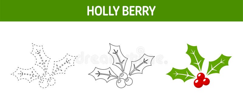 Holly Berry Tracing and Coloring Worksheet for Kids Stock Vector ...