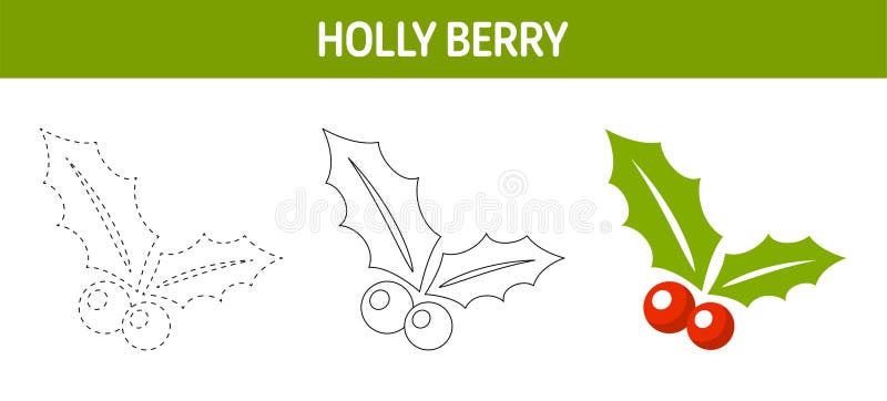 Holly Berry Tracing and Coloring Worksheet for Kids Stock Vector ...