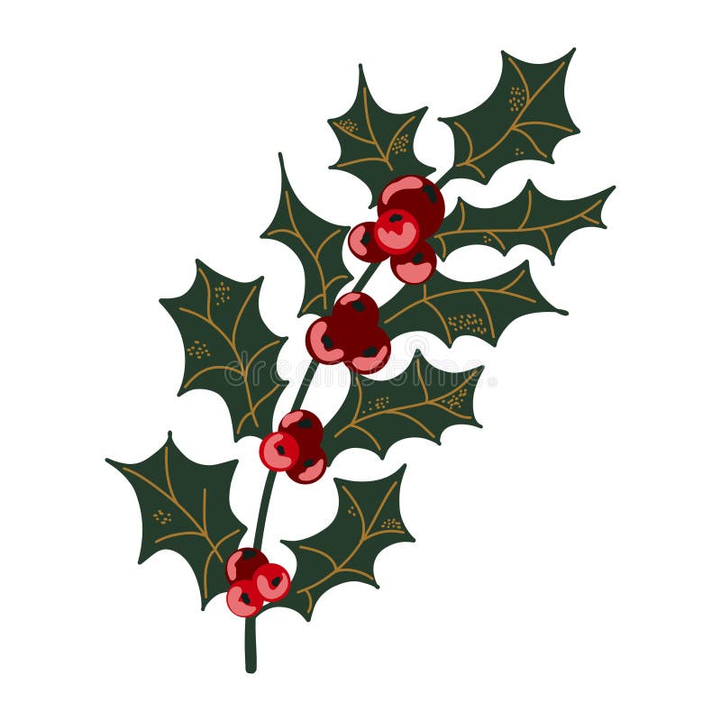 Holly branch flat cartoon stock illustration. Illustration of engraving ...