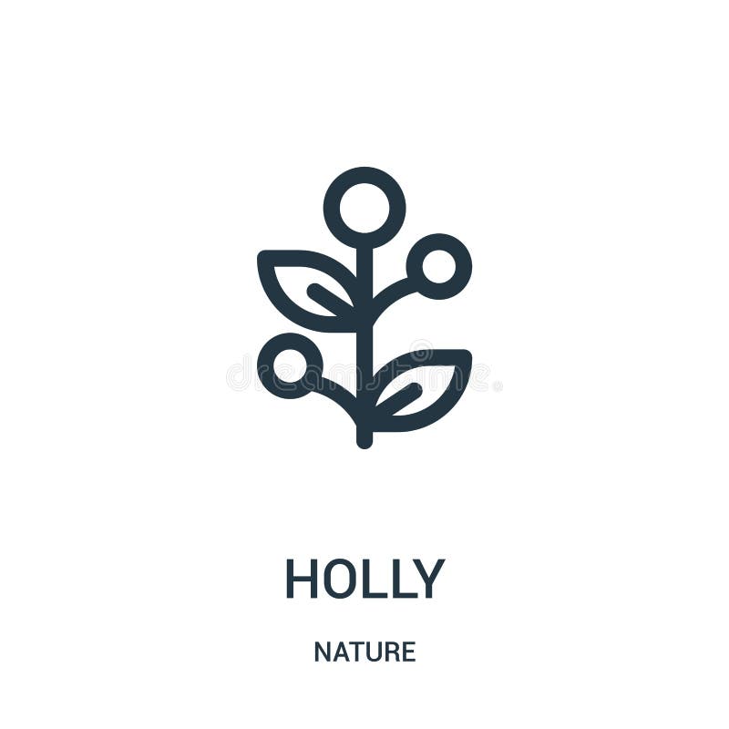 Holly Icon Vector from Nature Collection. Thin Line Holly Outline Icon ...