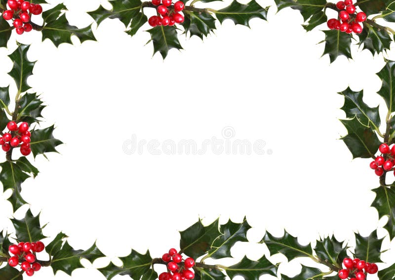 Holly Leaf and Red Berry Border Stock Image - Image of spiky, frame ...