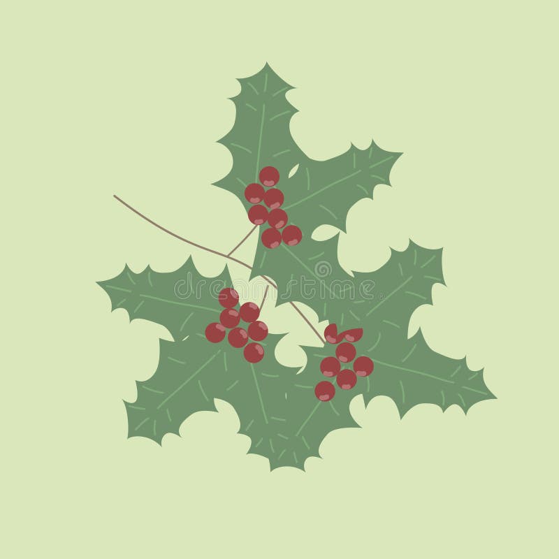 Holly Leaves and Berries on a Branch. Isolated Vector Illustration ...