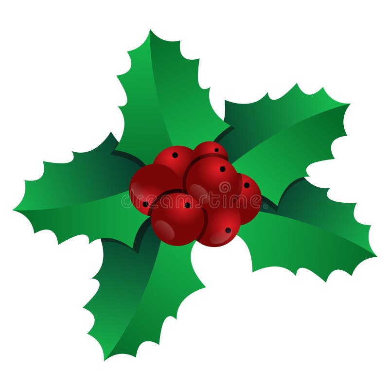 Holly Sprig Illustration Vector Art Design Stock Vector - Illustration ...