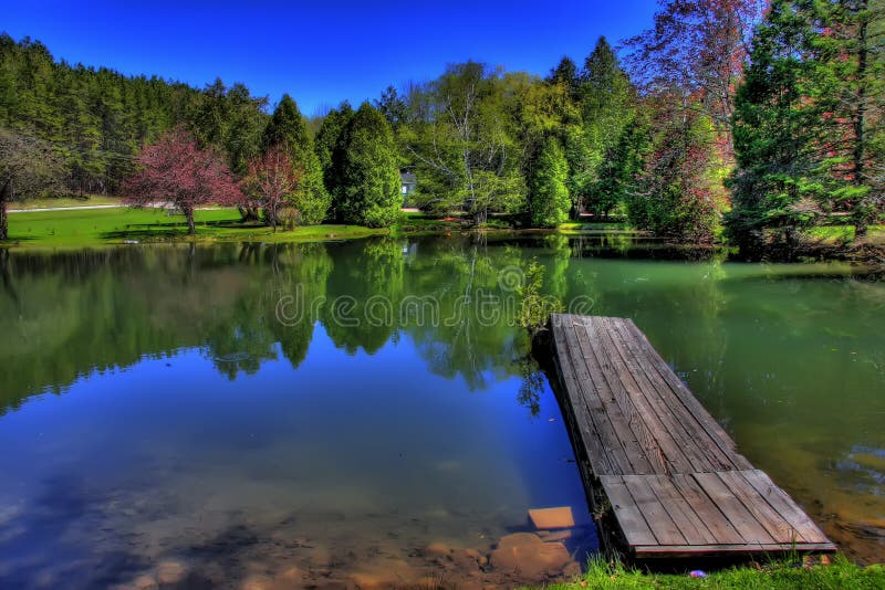 Holly summer stock photo. Image of nature, summer, mixing - 76573022