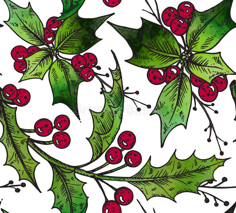 - Holly and Tree Branches with Watercolor Texture. Christmas and Stock ...