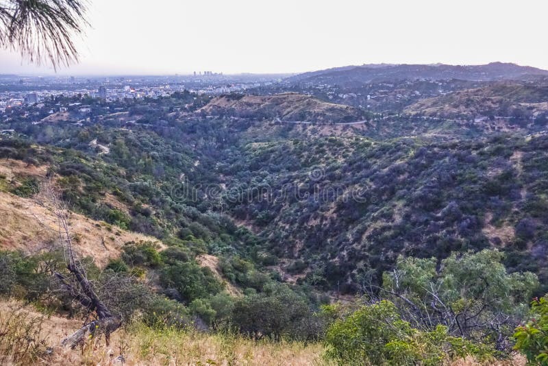 Hollywood Hills in Los Angeles Stock Image - Image of town, buildings ...