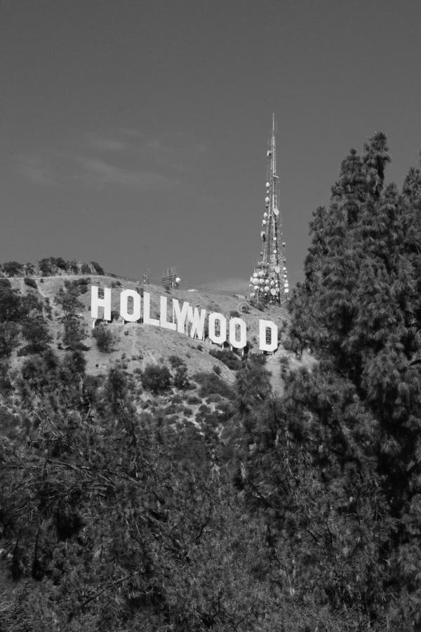 Hollywood Star on Celebrity Fame of Walk Boulevard. Vector Symbol Star ...