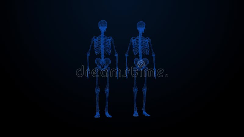 The Hologram of a Blue Rotating Particle Skeleton with a Seamless Loop ...