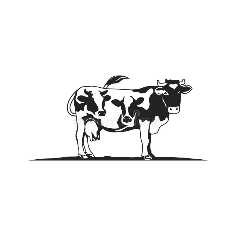 Holstein Cow Illustration Logo Stock Illustration - Illustration of ...