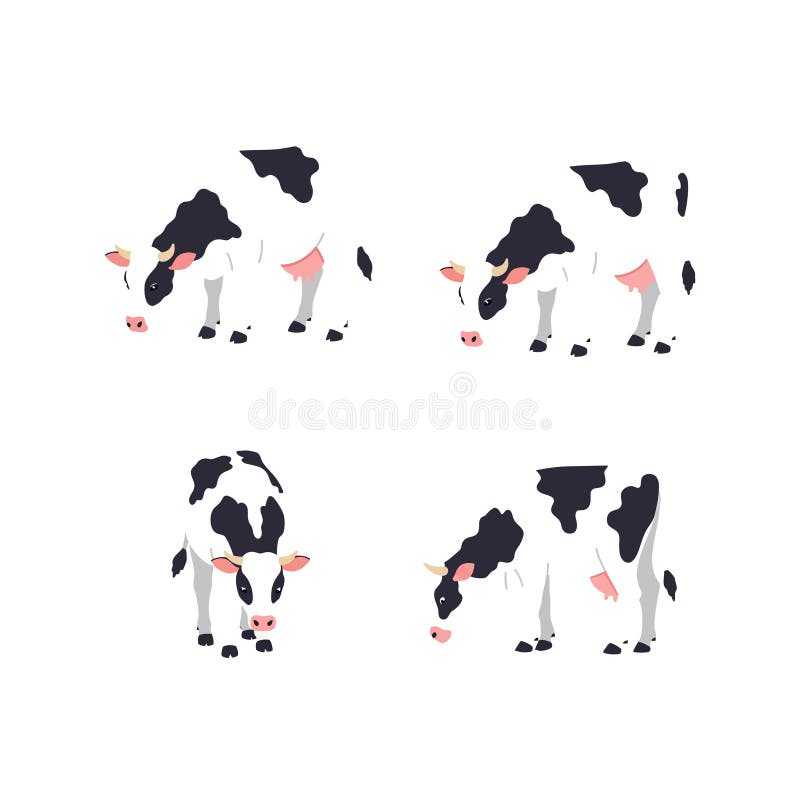 Holstein Cow Vector Illustrations Set for T-shirt Printing and Graphic ...