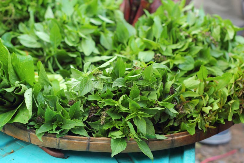 Holy basil in the market stock image. Image of india - 40884769