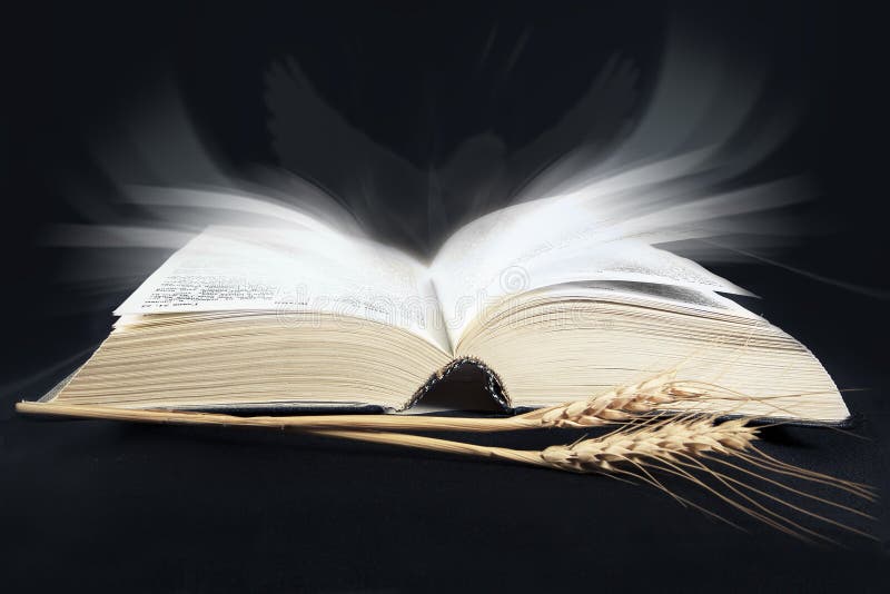 Holy Bible on the black stock photo. Image of illuminated - 30692734