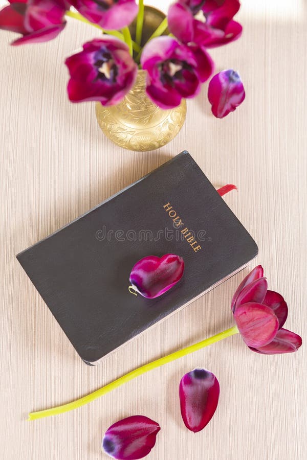 Bible and Flowers stock photo. Image of read, religious - 2986914