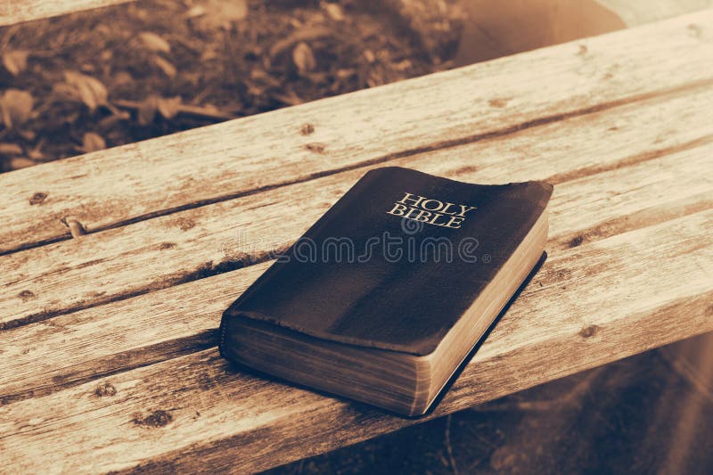 Holy Bible on Park Bench stock photo. Image of jesus - 340121134