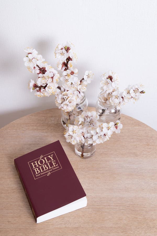 Holy Bible on Table with Blooming Spring Branch Stock Photo - Image of ...