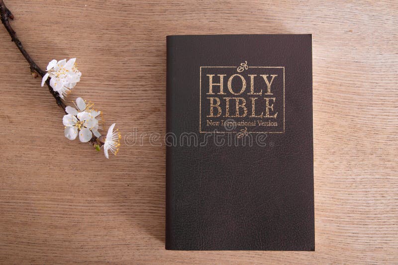 Holy Bible on Table Top View with Blooming Spring Branch Stock Photo ...