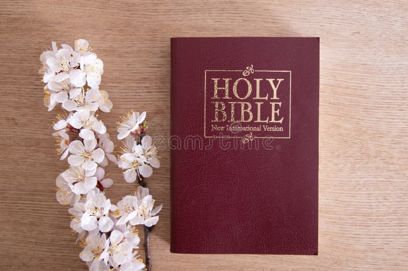 Holy Bible on Table Top View with Blooming Spring Branch Stock Image ...