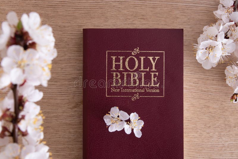 Holy Bible on Table Top View with Blooming Spring Branch Stock Image ...