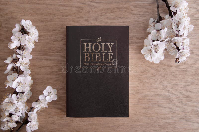 Holy Bible on Table Top View with White Flowers Blooming Spring Branch ...