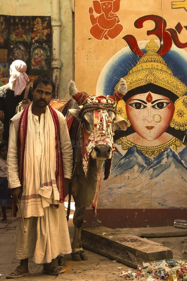 Holy Cow Painting Leah Stock Photos - Free & Royalty-Free Stock Photos ...