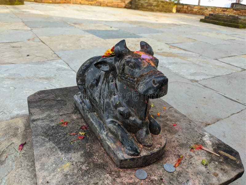 Holy cow in temple stock photo. Image of temple, animal - 197119552