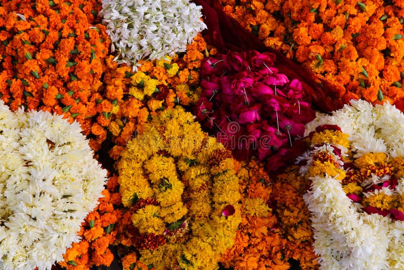 Holy flowers stock photo. Image of summer, religion, bloom - 37526502