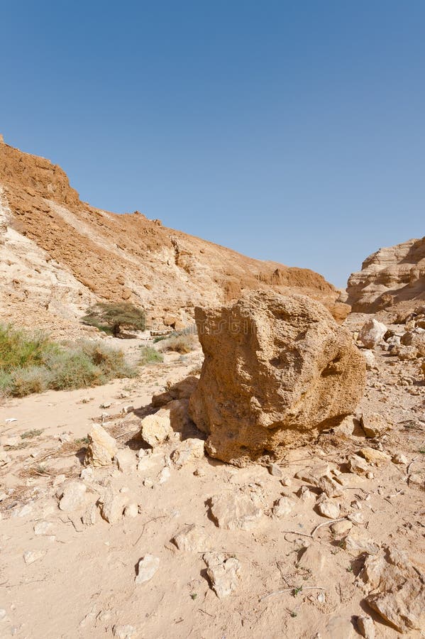 Holy Land stock image. Image of arid, israel, holy, driedup - 32196063