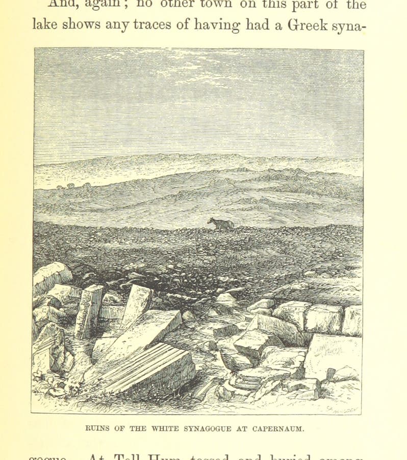 British Library Digitised Image From Page 195 Of "The Holy Land. With ...
