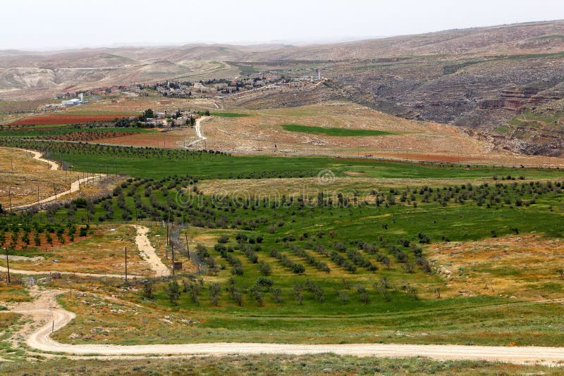 Holy Land landscape stock image. Image of palestine, landscape - 34714947