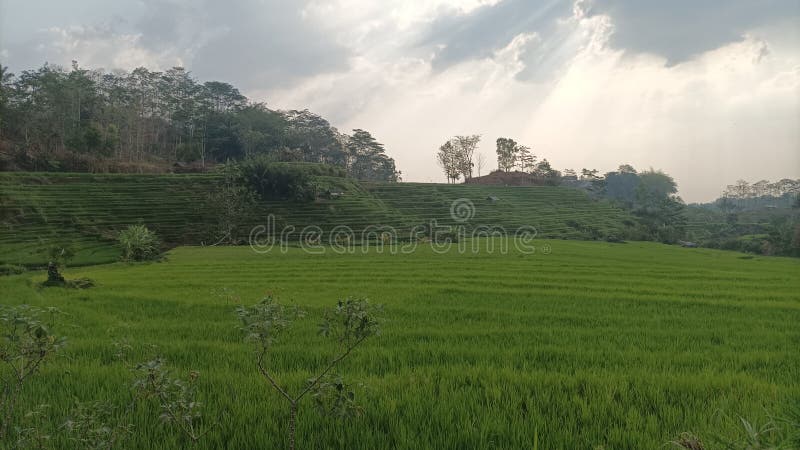 128,597 Holy Light Stock Photos - Free & Royalty-Free Stock Photos from ...