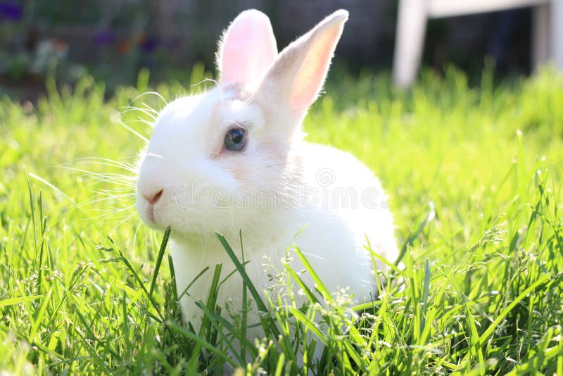 David Knapton (Omegadk1) - Photographer profile