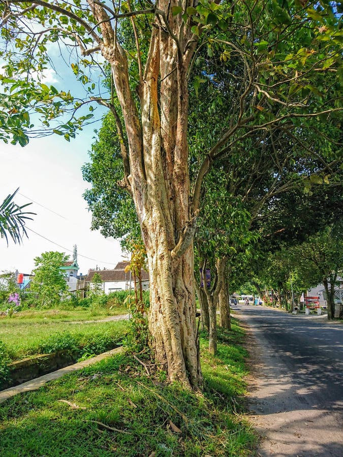 Holy Road of Heaven in Malang City East Java. Editorial Photo - Image ...