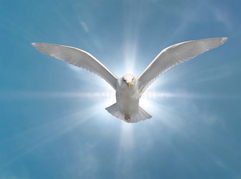 Holy Spirit stock photo. Image of peaceful, spread, baptism - 8469788