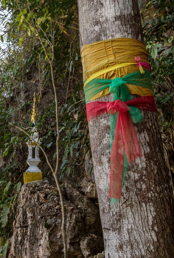 97,757 Holy Nature Photos - Free & Royalty-Free Stock Photos from ...