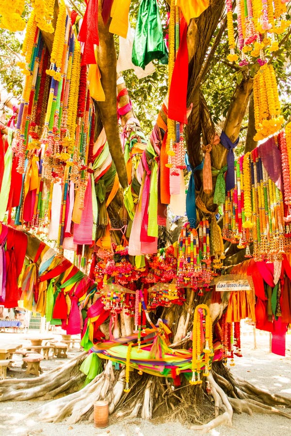 Holy tree stock photo. Image of garland, buddhist, inspiration - 38940896