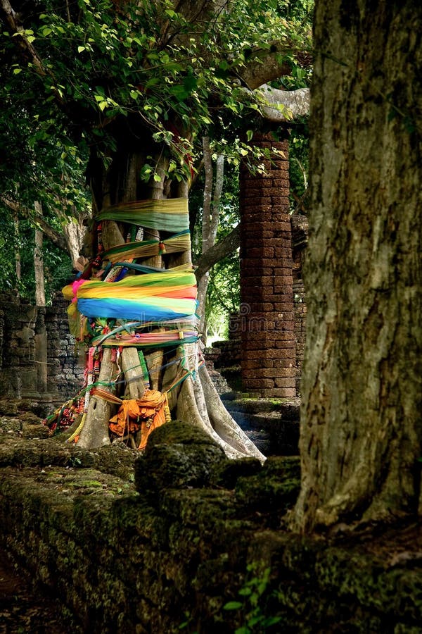 Holy tree stock photo. Image of faith, presumption, credit - 39964928