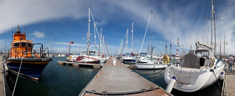 Holyhead marina stock photo. Image of marina, gorse, pink - 21837706