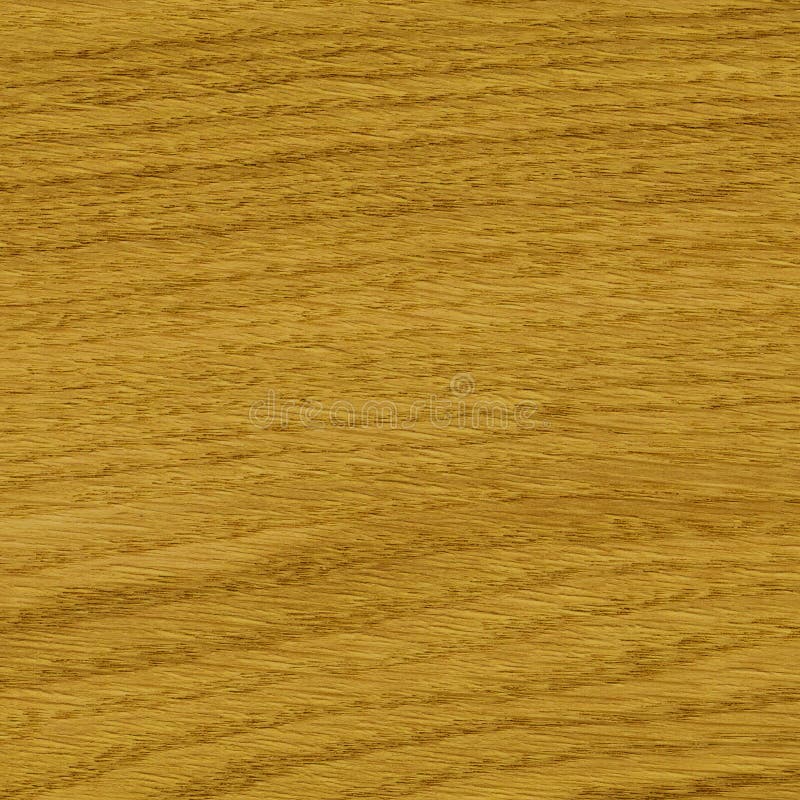 Holz, Eichenfurnier-blatt stockbild. Bild von bild, leerzeichen - 18907341