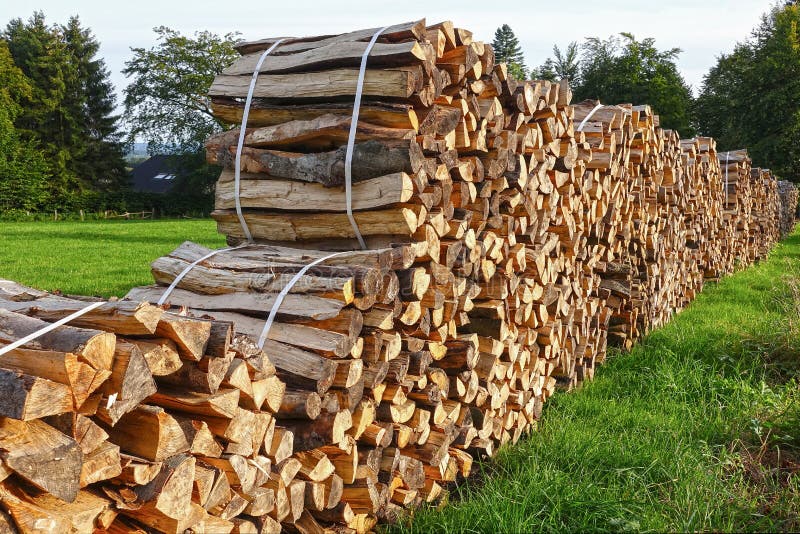 Large Bundles of Chopped Wood Stock Image - Image of pile, burning ...