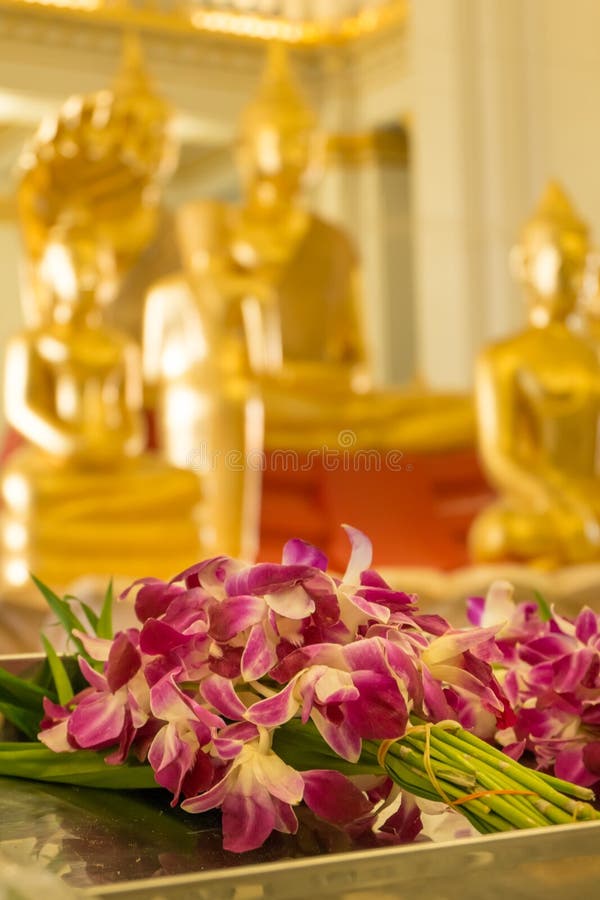 Homage father sothon . stock image. Image of history - 64001315