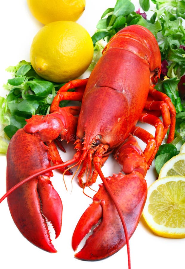 Poisson de homard à vapeur image stock. Image du écrevisses - 162321811