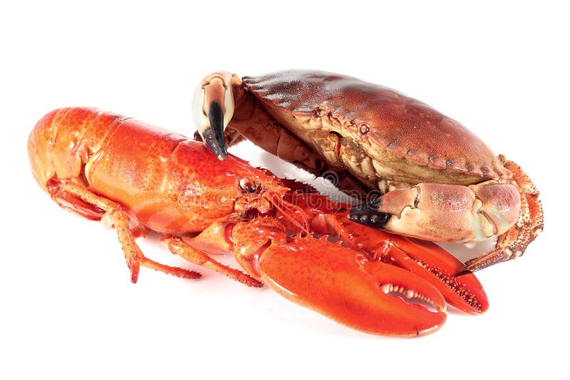 Les Criques De Crabe Et De Homard Abritent Whitby Image stock - Image ...