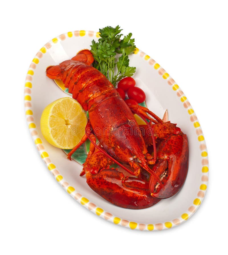 Homard rouge photo stock. Image du gourmet, régime, isolement - 35188124
