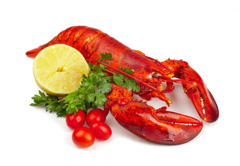 Homard rouge photo stock. Image du gourmet, régime, isolement - 35188124