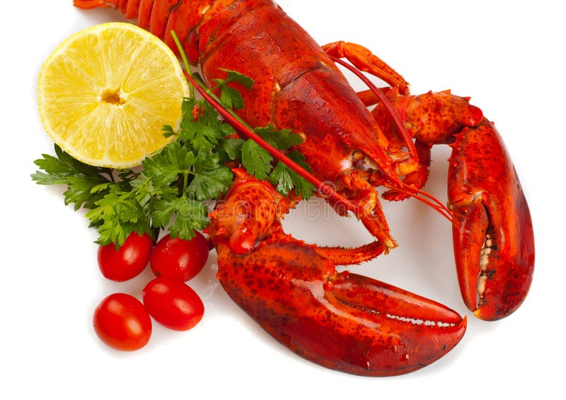Homard rouge photo stock. Image du poissons, langoustine - 35188220