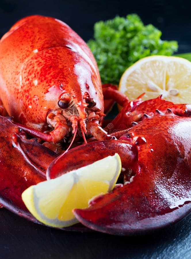 Homard rouge image stock. Image du seafood, gourmet, dîner - 75973799