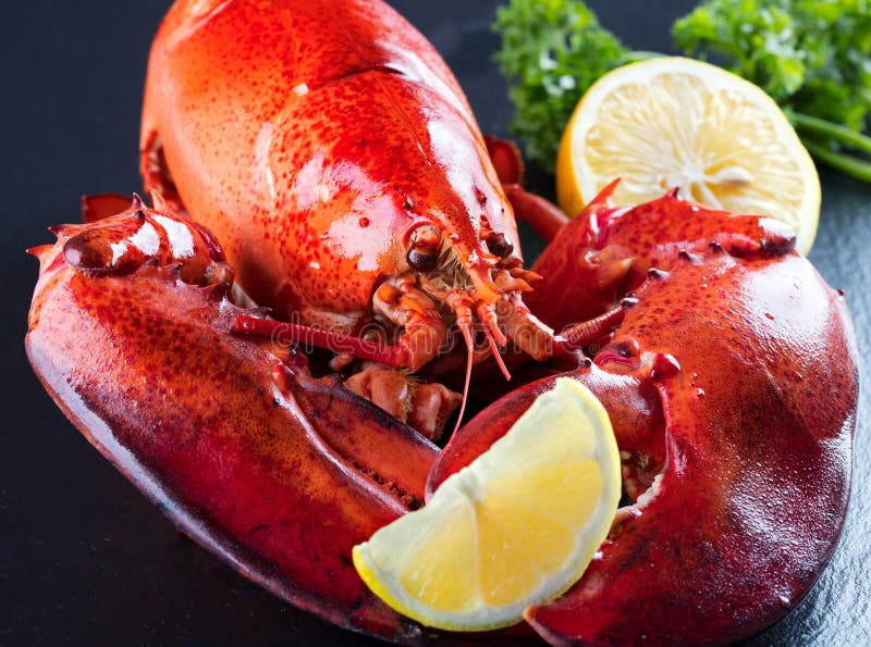 Homard rouge image stock. Image du seafood, gourmet, dîner - 75973799